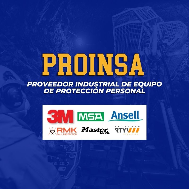 PROINSA - Inicio
